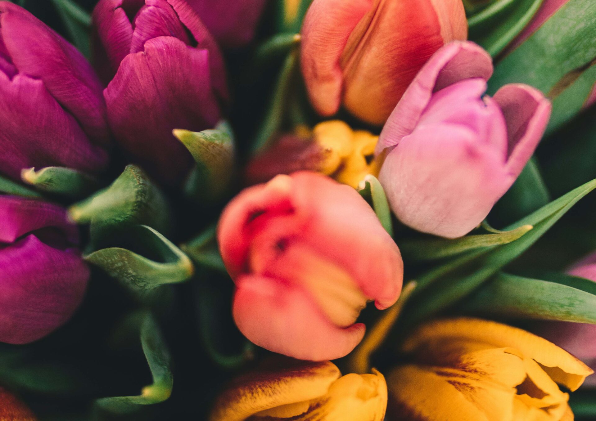 March downloadable guides - Swindells Chartered Accountants Sussex